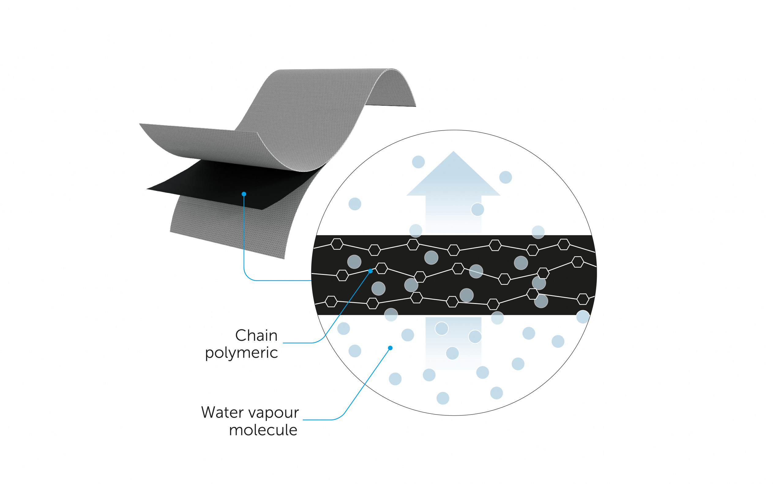 Membranes monolithiques vs. Membranes microporeuses